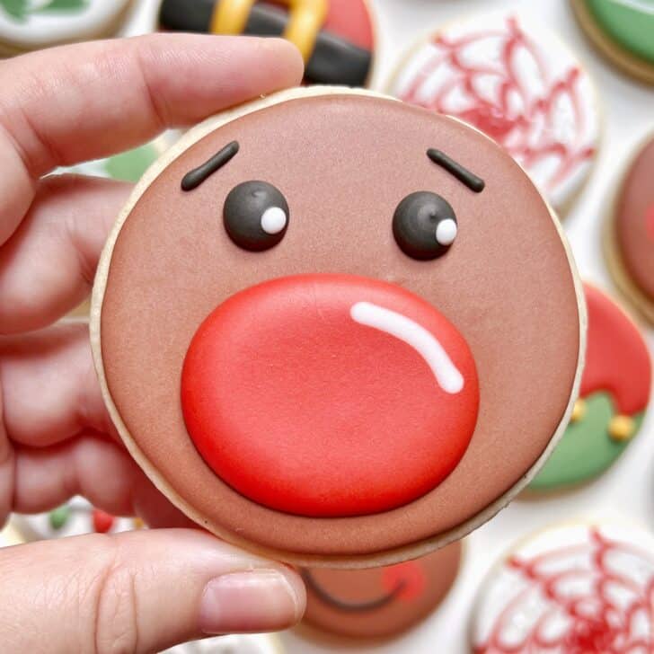Easy Circle Christmas Cookies