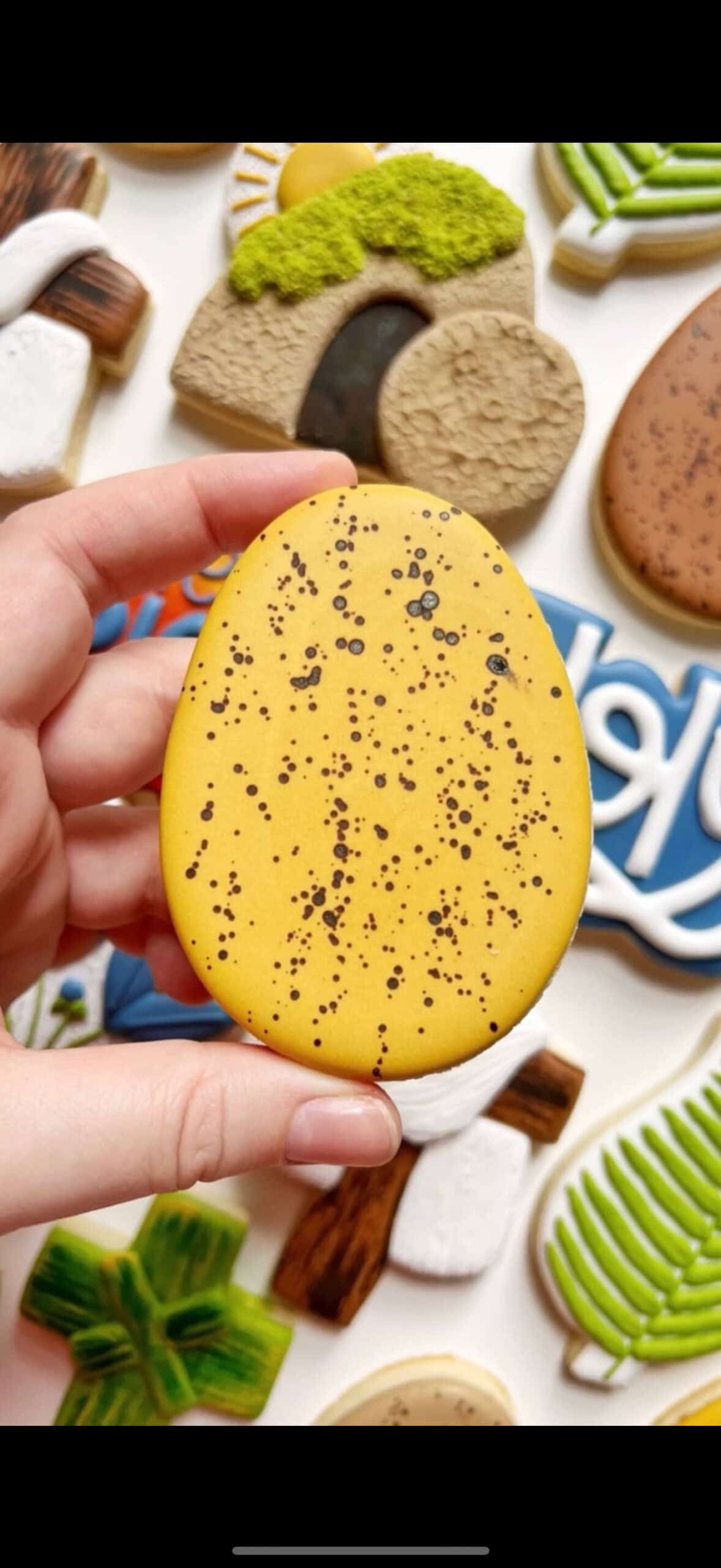 Decorated Easter Egg Cookies
